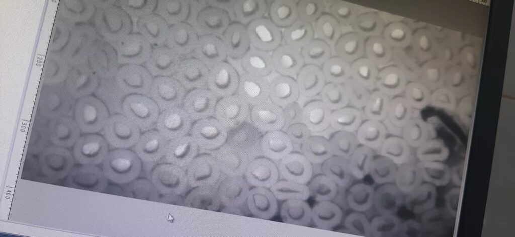 Polyester staple fiber manufacturing process - Polyester Staple Fiber ...