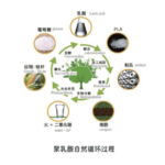 What is PLA Fiber (Polylactic Acid Fibers) - Polyester Staple Fiber ...