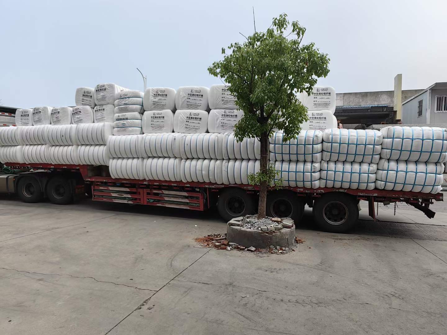 Fibra de bajo punto de fusión, Fibra bicomponente, Fibra biodegradable ...